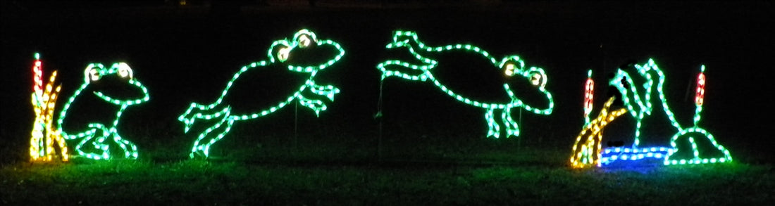 Animated Jumping Frogs Set| Lori's Lighted D'Lites